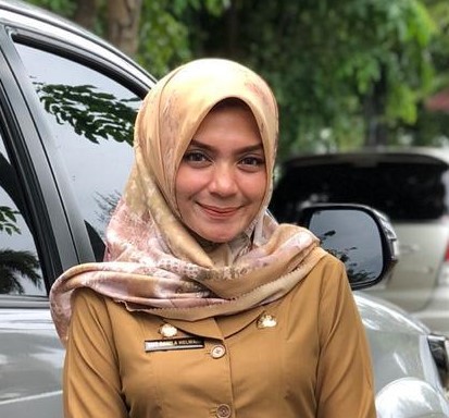 Website DPMPTSP Aceh