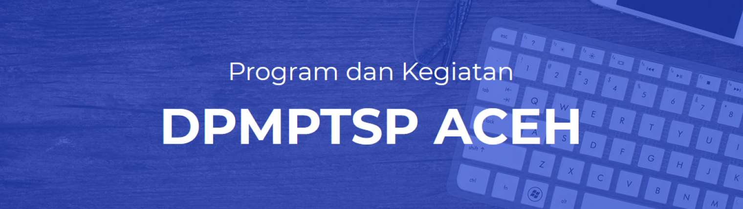 Website DPMPTSP Aceh