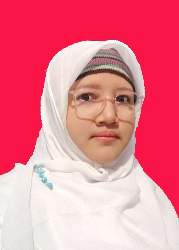 Website DPMPTSP Aceh