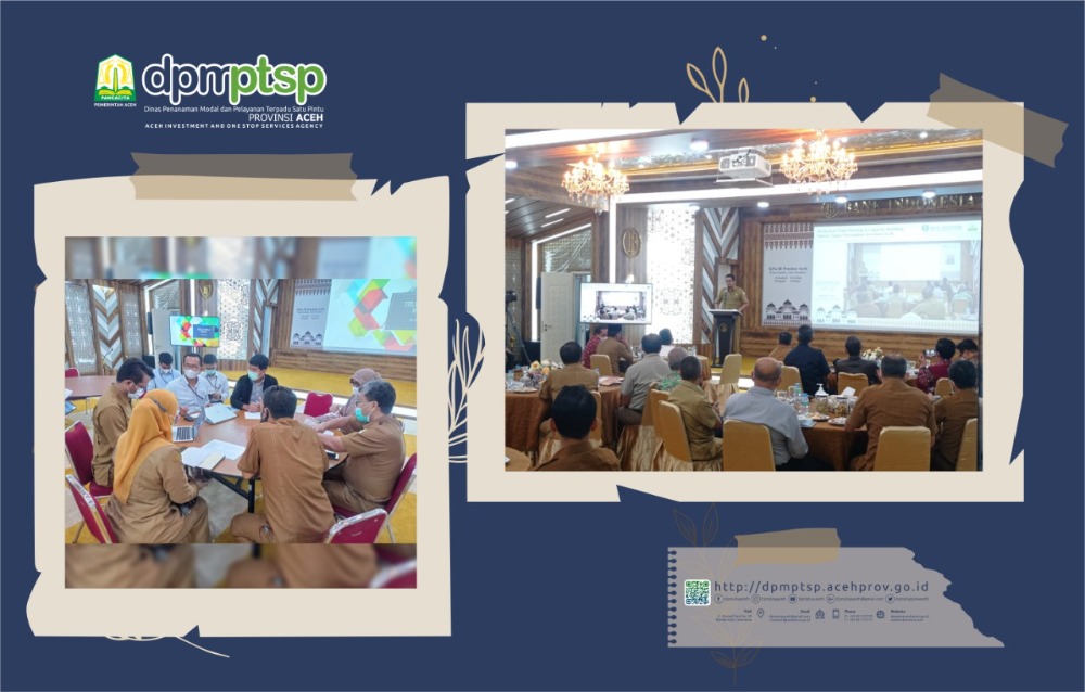 Website DPMPTSP Aceh