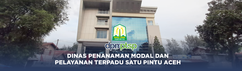 Website DPMPTSP Aceh