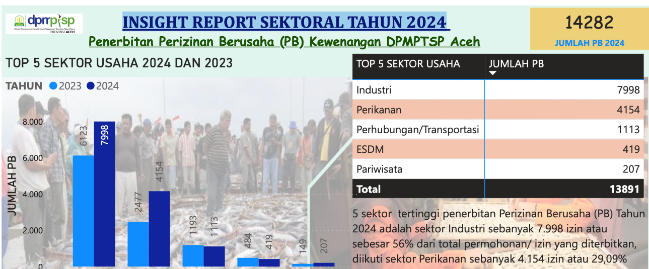 Website DPMPTSP Aceh