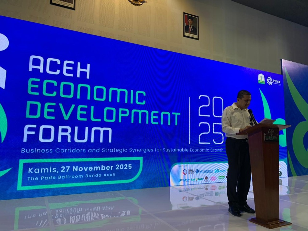 Website DPMPTSP Aceh