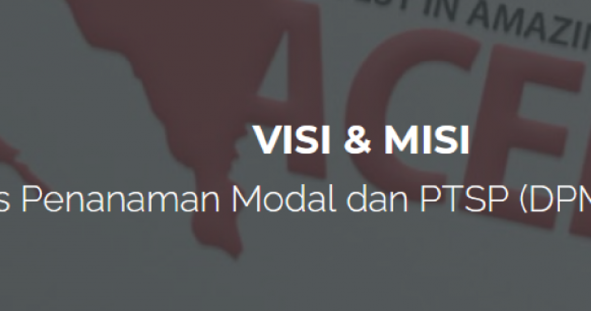 Website DPMPTSP Aceh