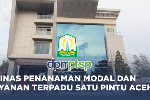 Website DPMPTSP Aceh