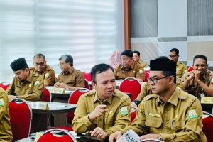 Website DPMPTSP Aceh