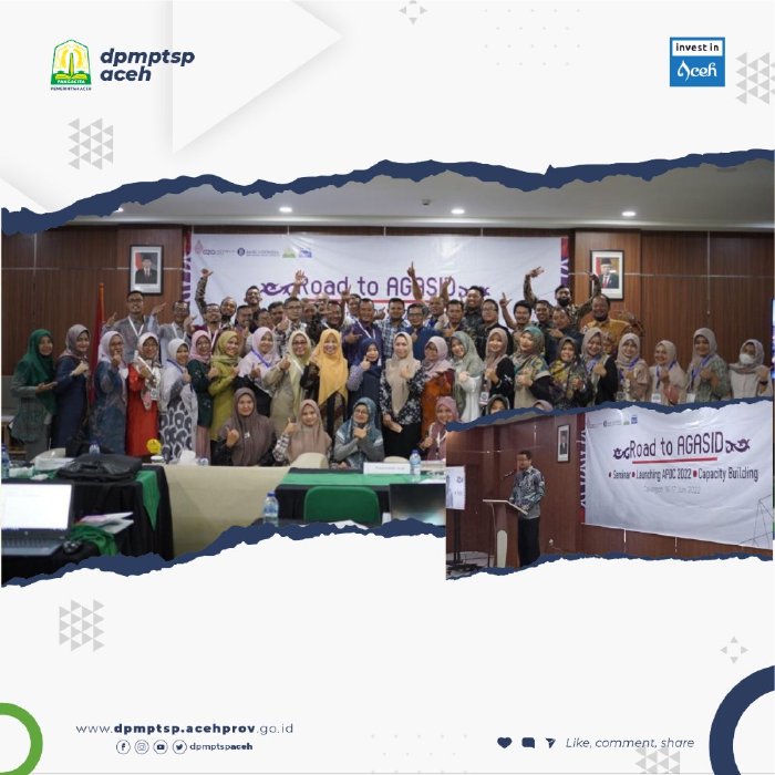 Website DPMPTSP Aceh